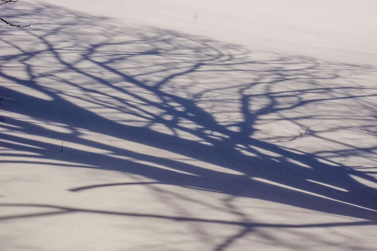 Snow + Sun = Shadows! | Still Learning To See