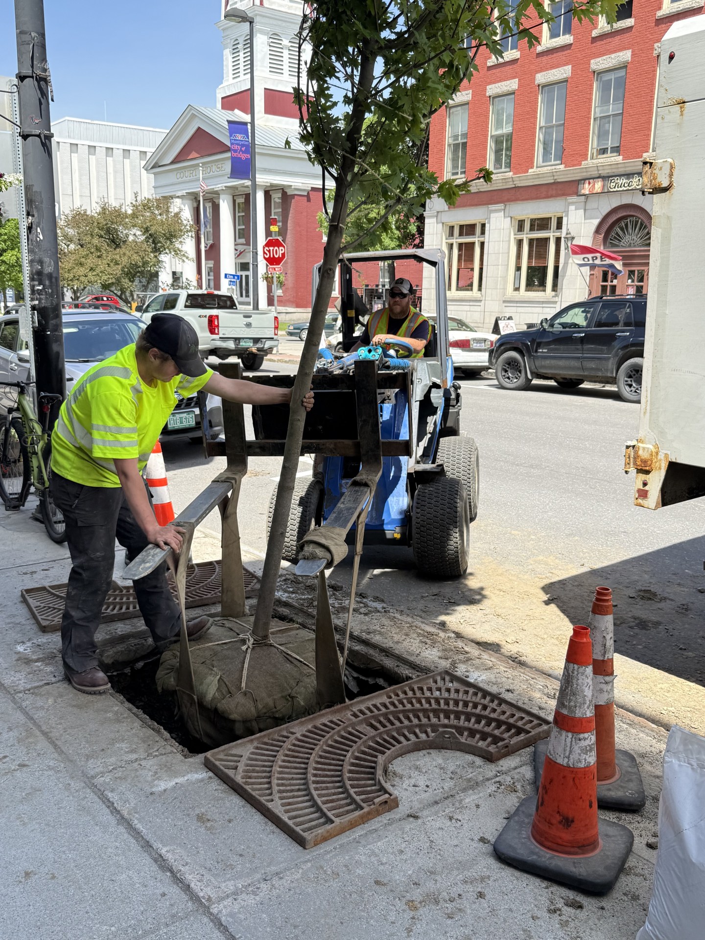 Planting trees downtown | Still Learning To See